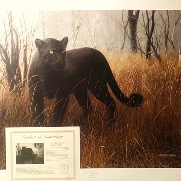 Charles Frace Prints - Etsy
