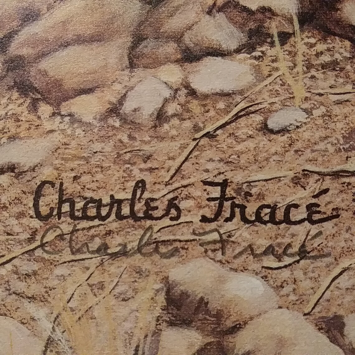 CHARLES FRACE Ocelots, Signed Limited Edition, 1976 Vintage New 23x22 ...