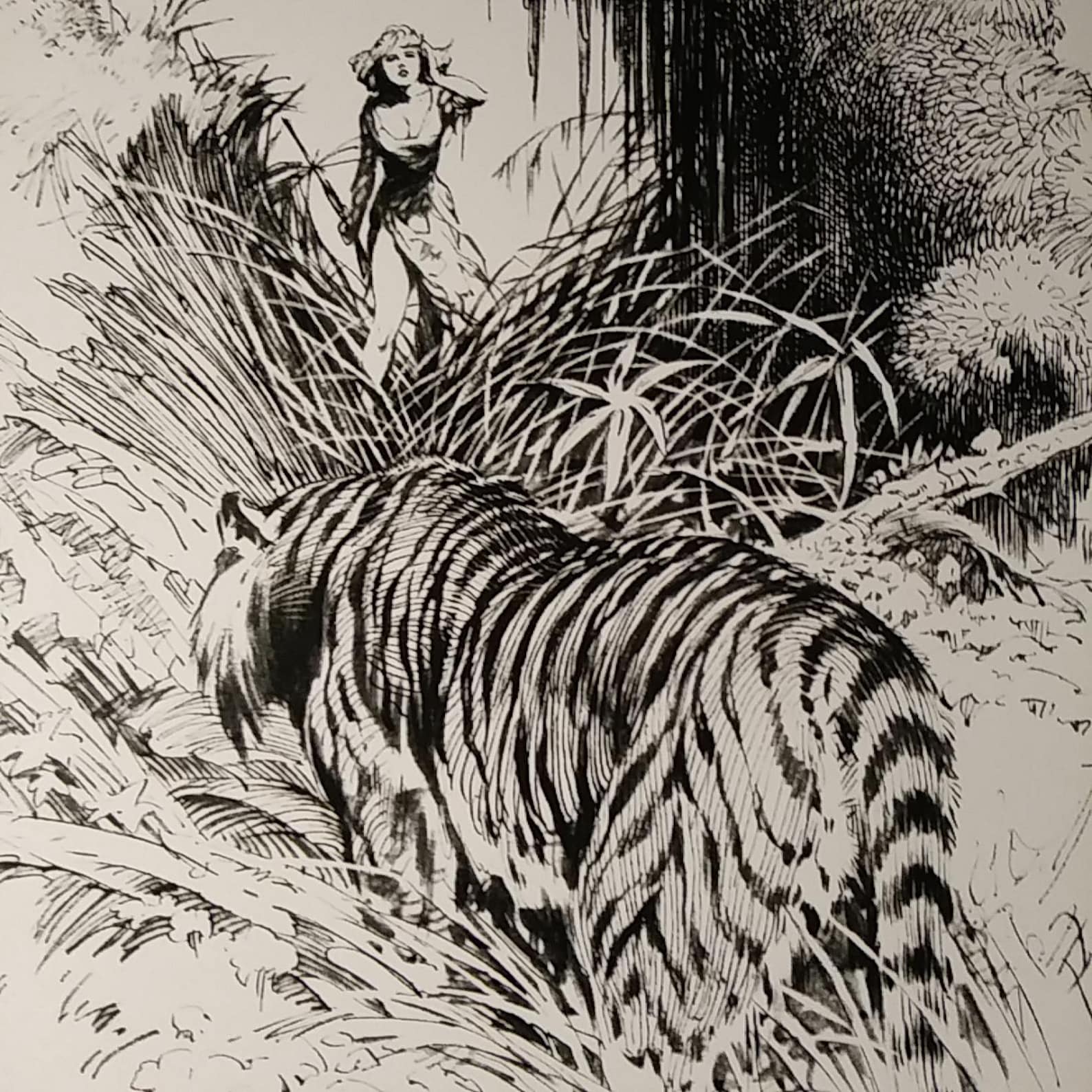 Frank Frazetta "tiger Stalks Woman" 1964 Photostatic Print, Lifesize ...