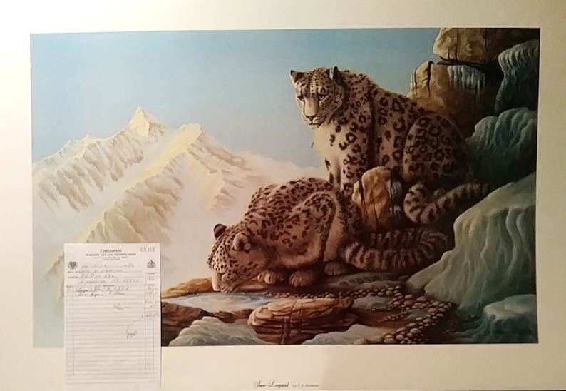 T. A. STRAWSER "snow Leopards", Hand Signed and Numbered (#166) 1973 Vintage New 33x23" Limited ...