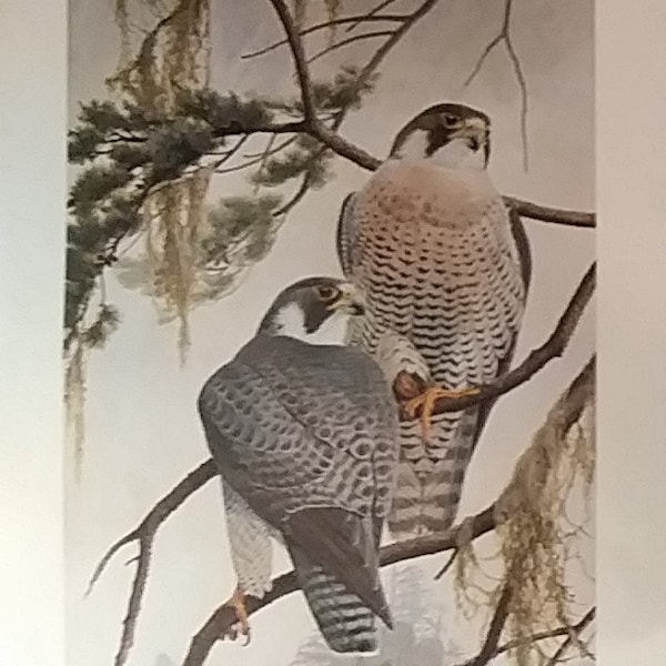 Arthur Singer - Etsy