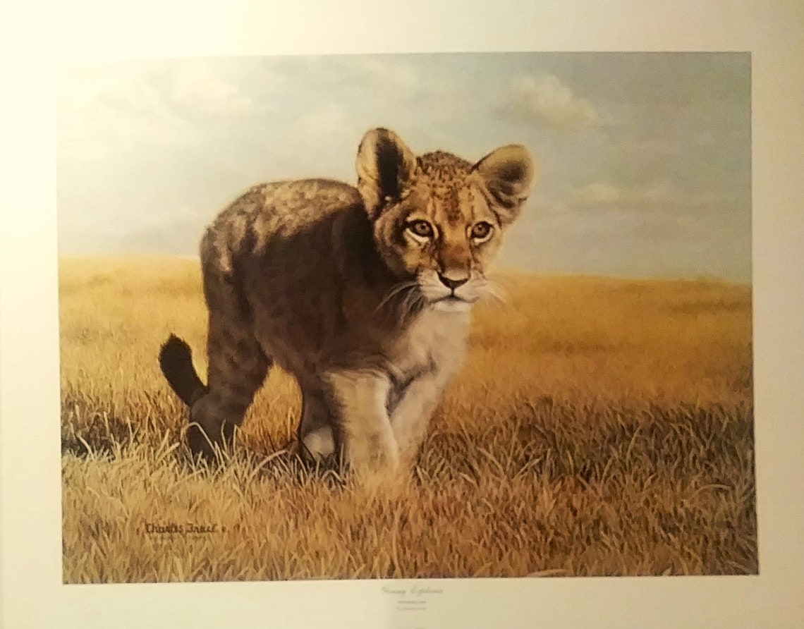 CHARLES FRACE Lion Cub "young Explorer" Signed, Numbered (#1888) 1983 ...
