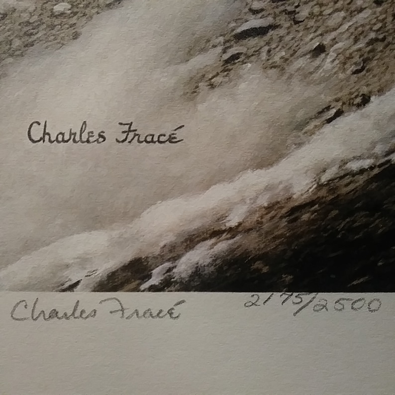 Charles Frace "snow Leopard" Print, Signed & Numbered, Limited Edition ...