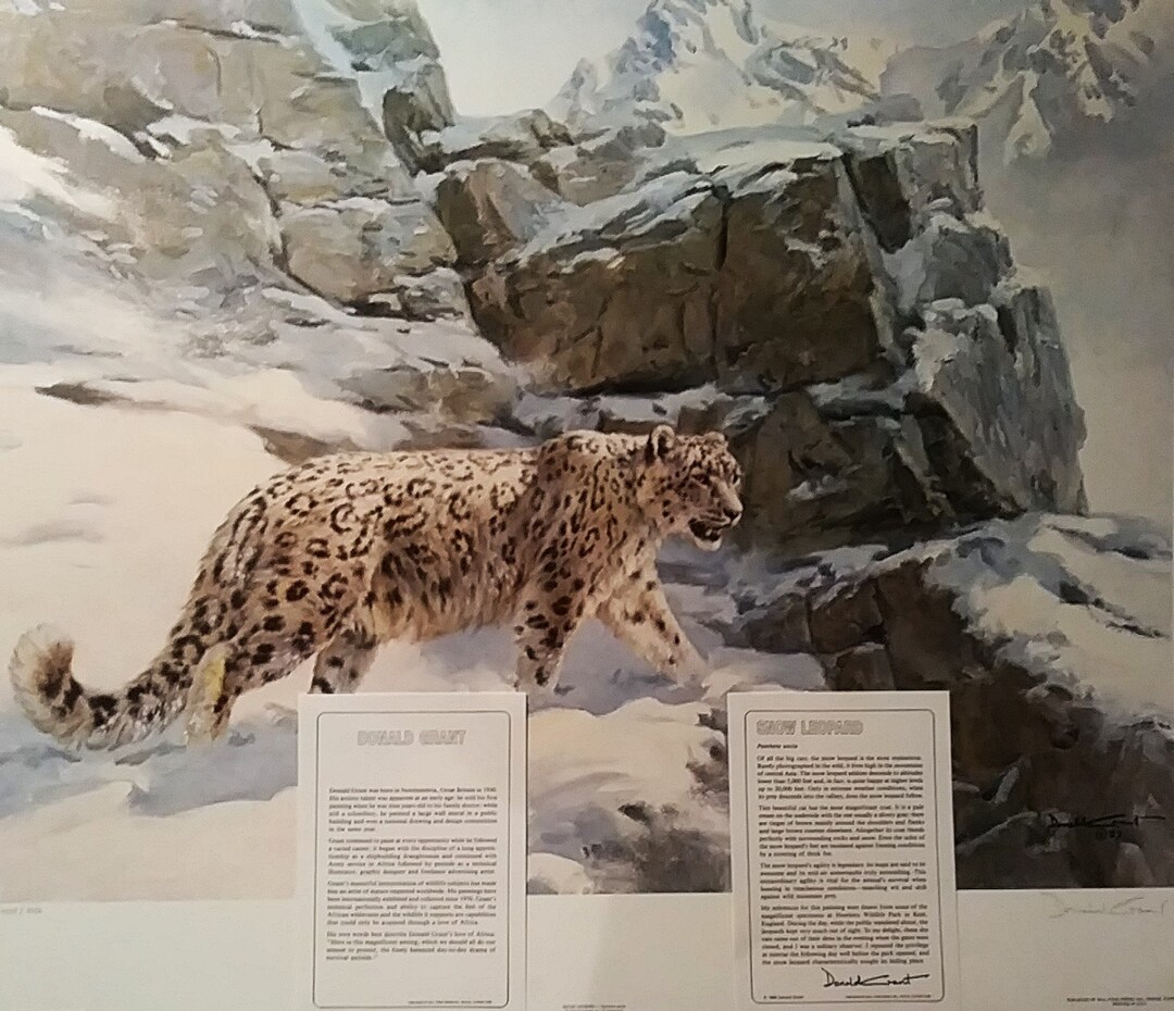 Donald Grant Snow Leopard Lithograph, Hand Signed, Numbered, COA - Etsy