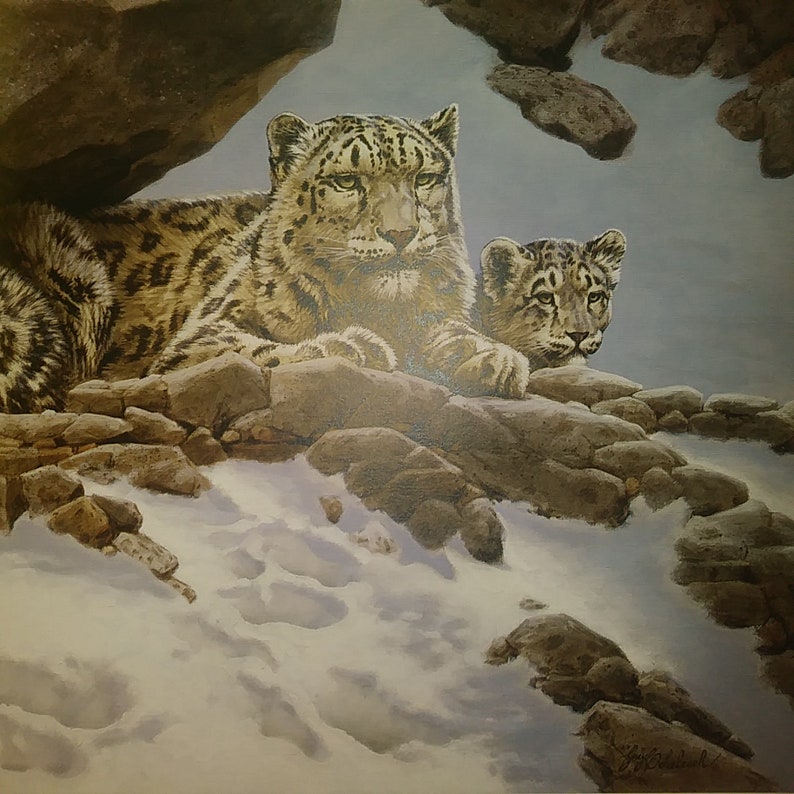 GUY COHELEACH Snow Leopards den Mother, Hand Signed and Numbered 547 Vintage New 1987 36x23 ...