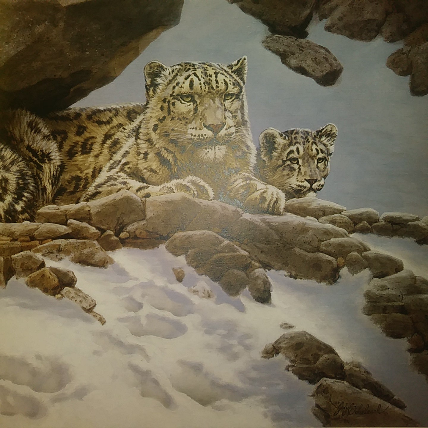 GUY COHELEACH Snow Leopards "den Mother", Hand Signed and Numbered ...