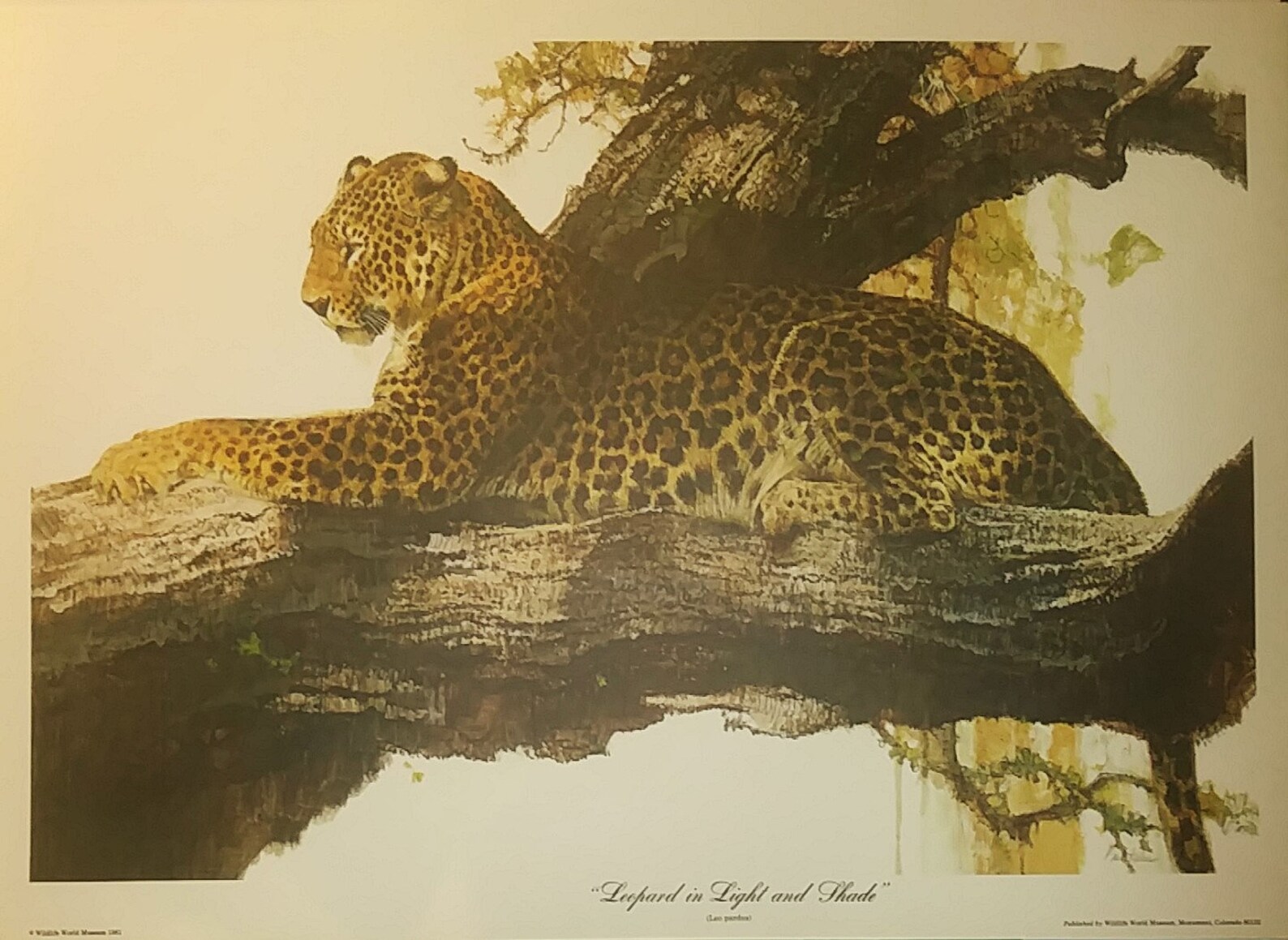 Bob Kuhn Leopard Print, Signed Wildlife Art, 1981 Limited Edition - Etsy