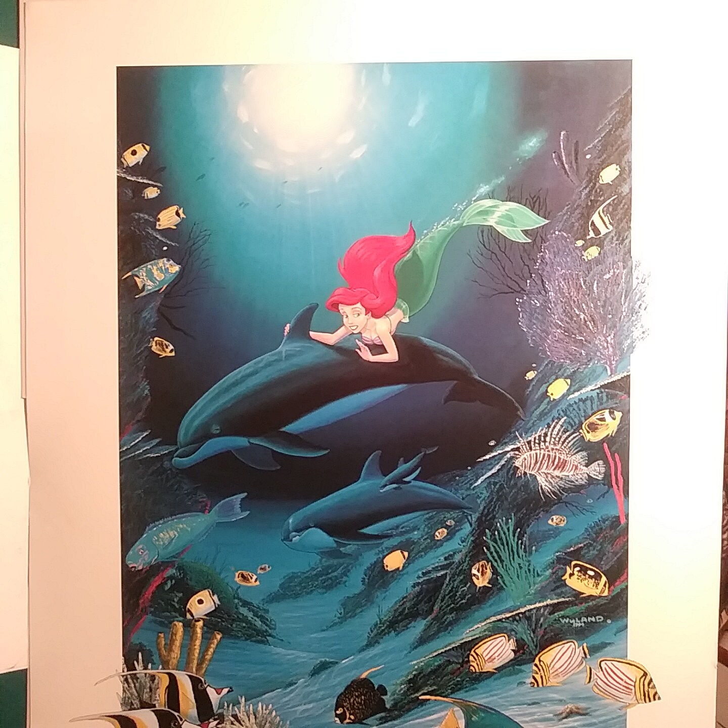Robert Wyland Ariel Dolphin Ride Lithograph, Hand Signed Disney Art - Etsy