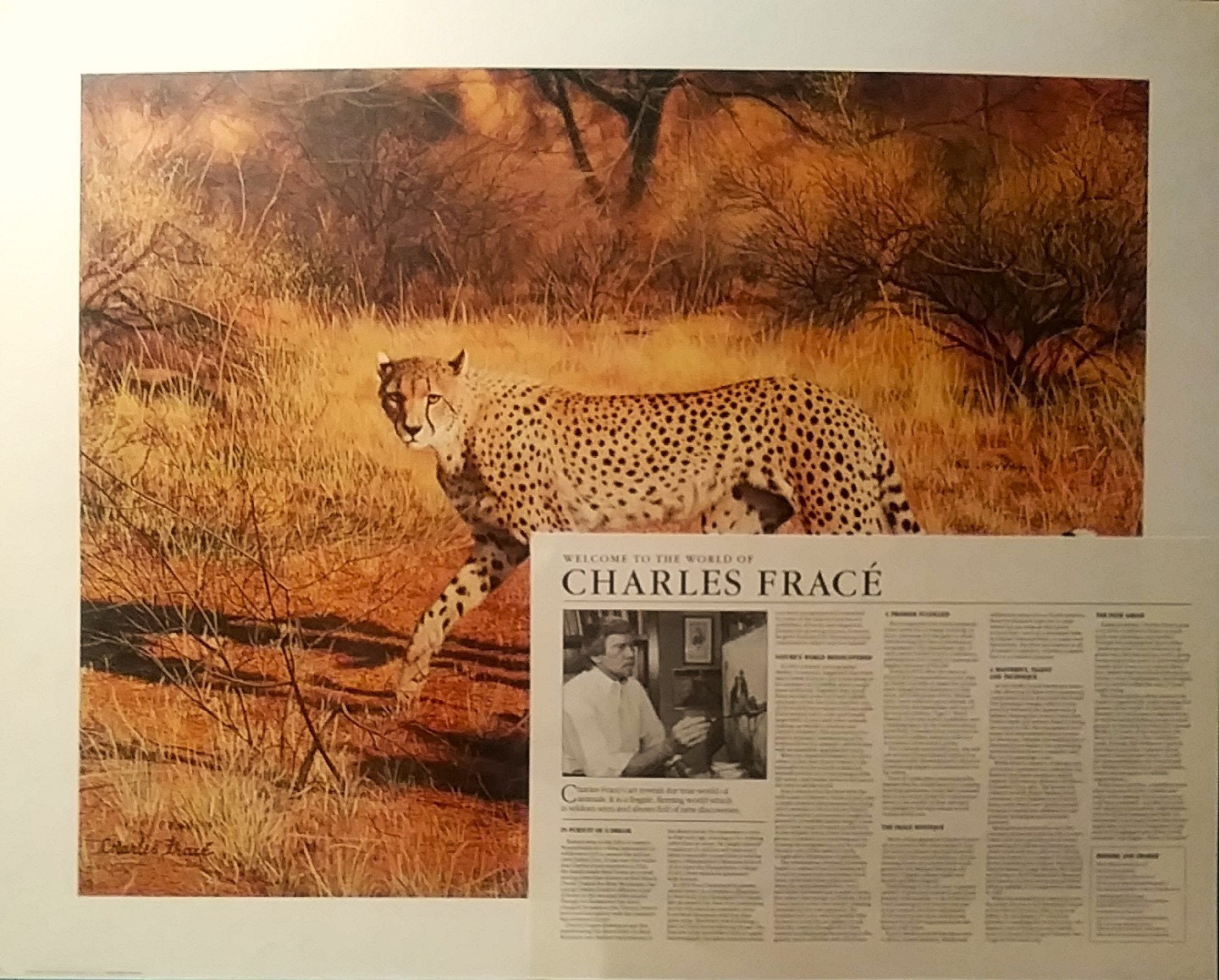 CHARLES FRACE "cheetah", Hand Signed Limited Edition, Vintage New 1977 ...
