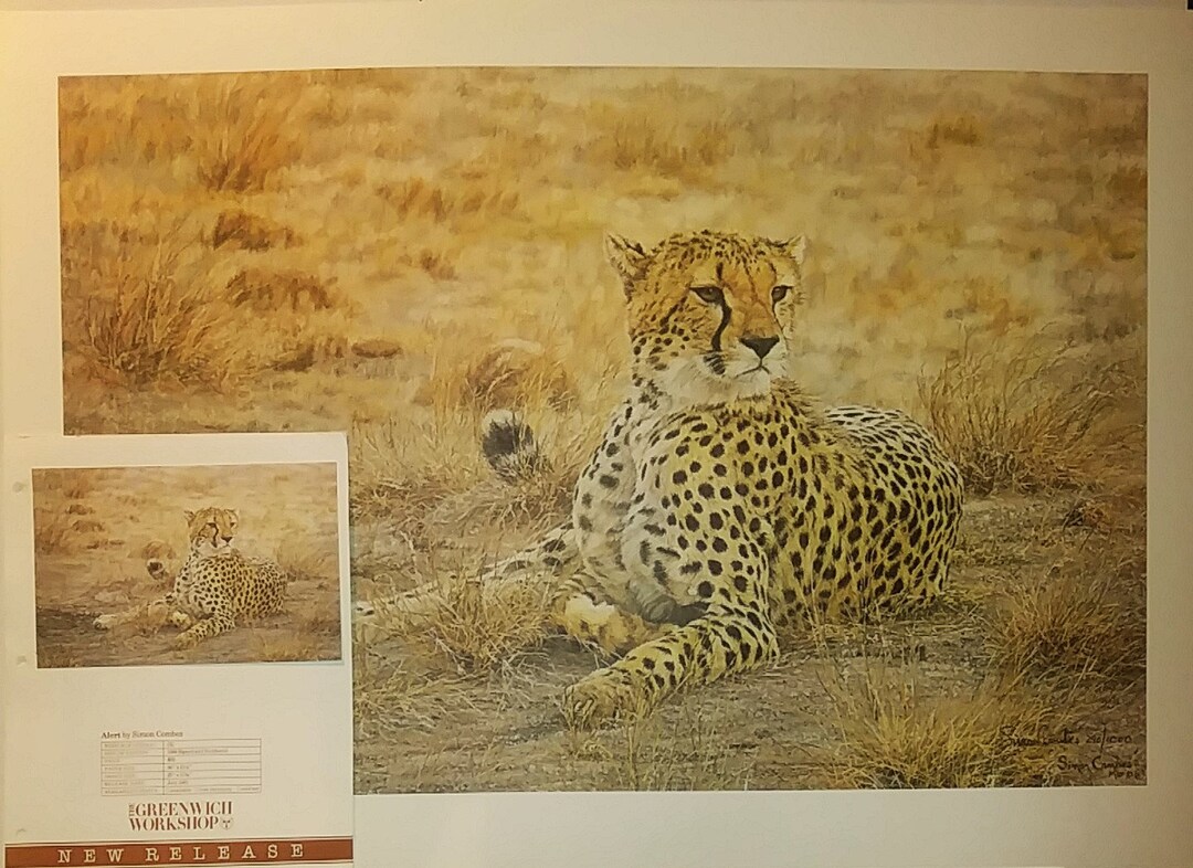 SIMON COMBES Cheetah "alert", Hand Signed and Numbered (#290) 1981 ...