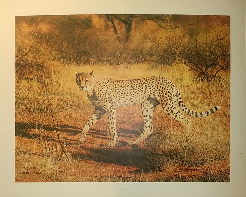 CHARLES FRACE "cheetah", Hand Signed Limited Edition, Vintage New 1977 ...