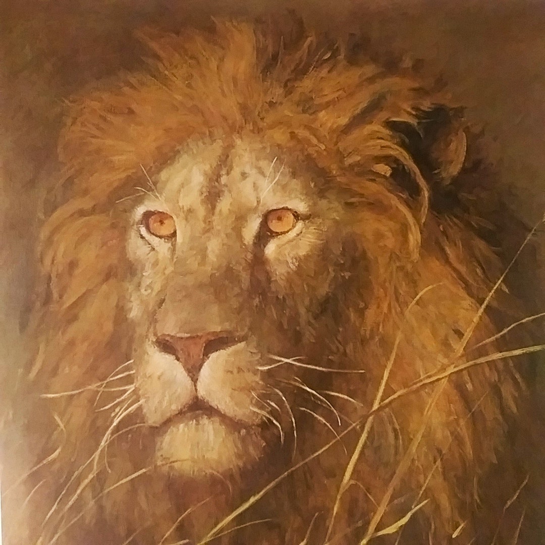 JOHN SCHOENHERR "lion Stare", Open Edition Print 14x18" Vintage New ...