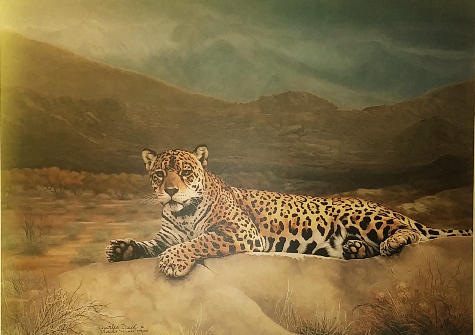 CHARLES FRACE Jaguar "first Light", Signed and Numbered (#2458) 33x26 ...