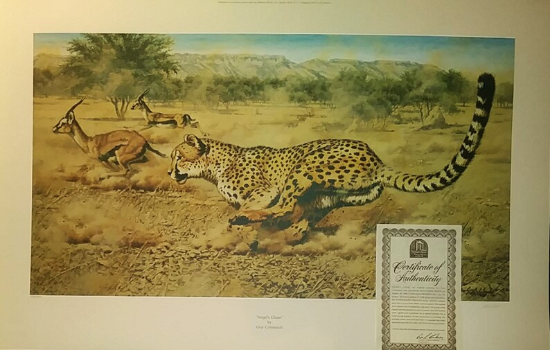 GUY COHELEACH Cheetah, Thompson's Gazelles "angel's Chase", Hand S/N ...