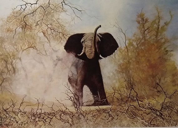 Charging Elephant Drawing