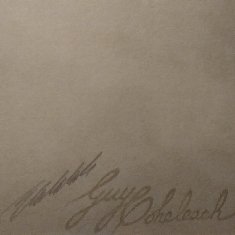 GUY COHELEACH Cougar, Puma, rocky Mountain Lion, S/N 622 or 571 1980 ...