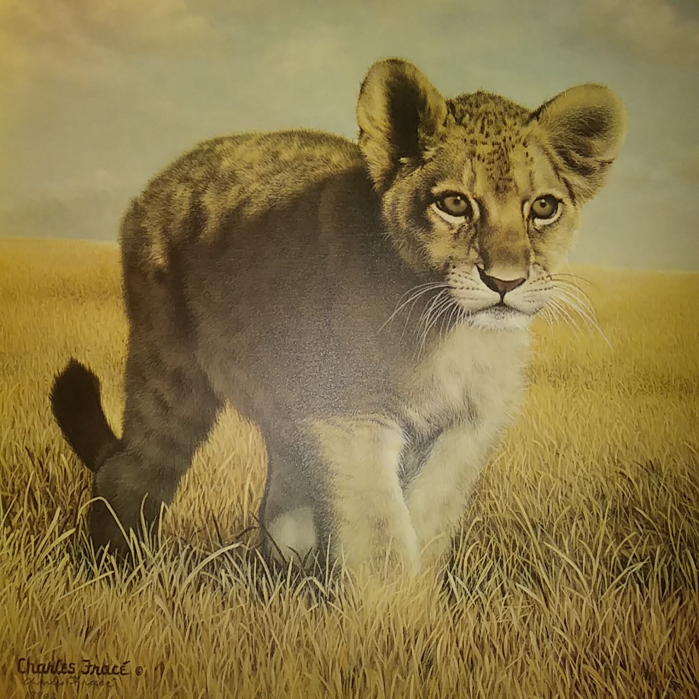 CHARLES FRACE Lion Cub "young Explorer" Signed, Numbered (#1888) 1983 ...