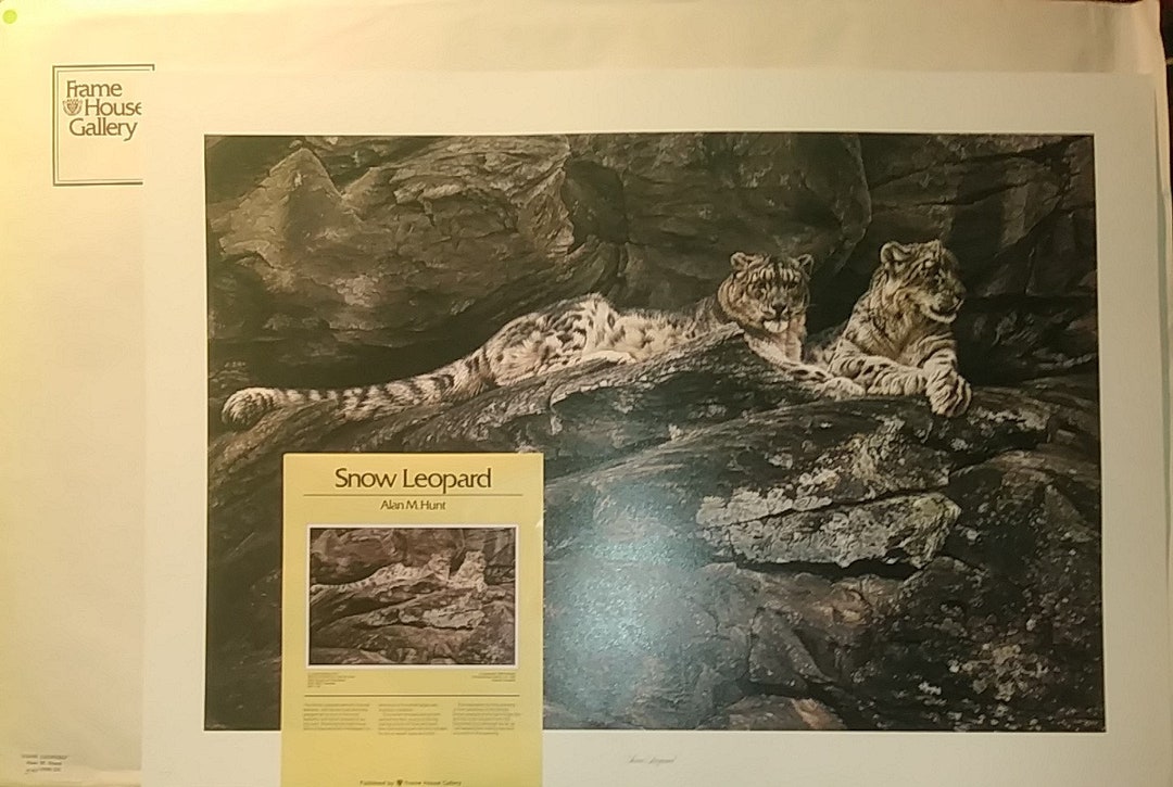 Alan M. Hunt Snow Leopard Print, Signed & Numbered, Wildlife Art - Etsy