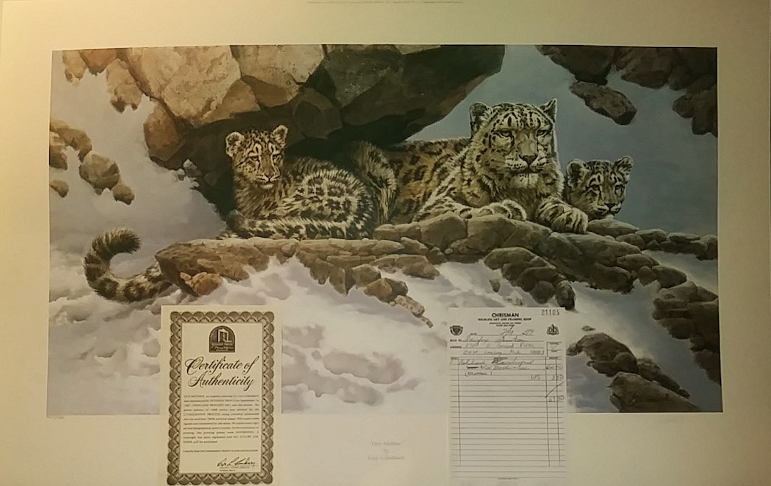 GUY COHELEACH Snow Leopards "den Mother", Hand Signed and Numbered ...