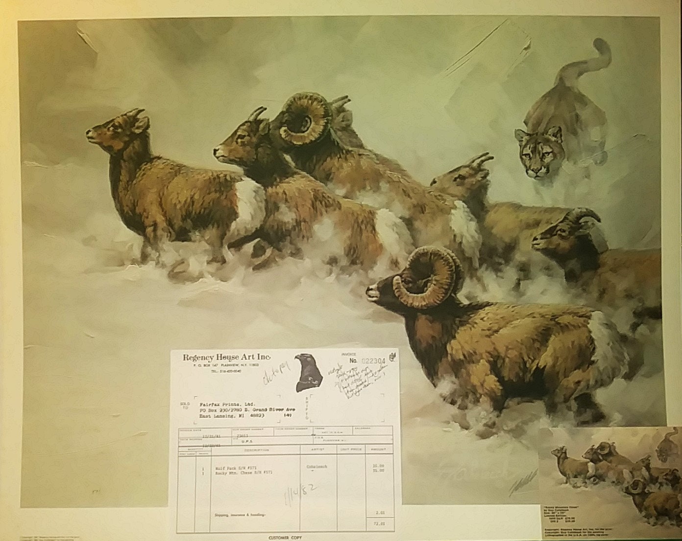 GUY COHELEACH Cougar, Puma, rocky Mountain Chase, Signed, Numbered 571 ...
