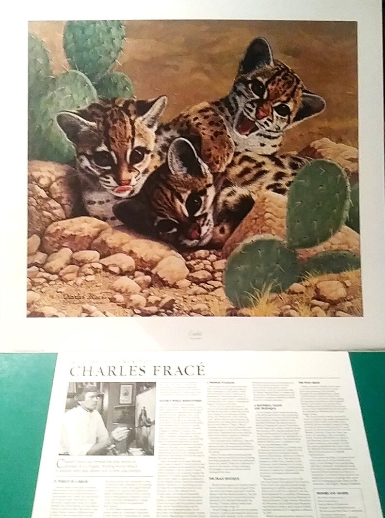 CHARLES FRACE Ocelots, Signed Limited Edition, 1976 Vintage New 23x22 ...