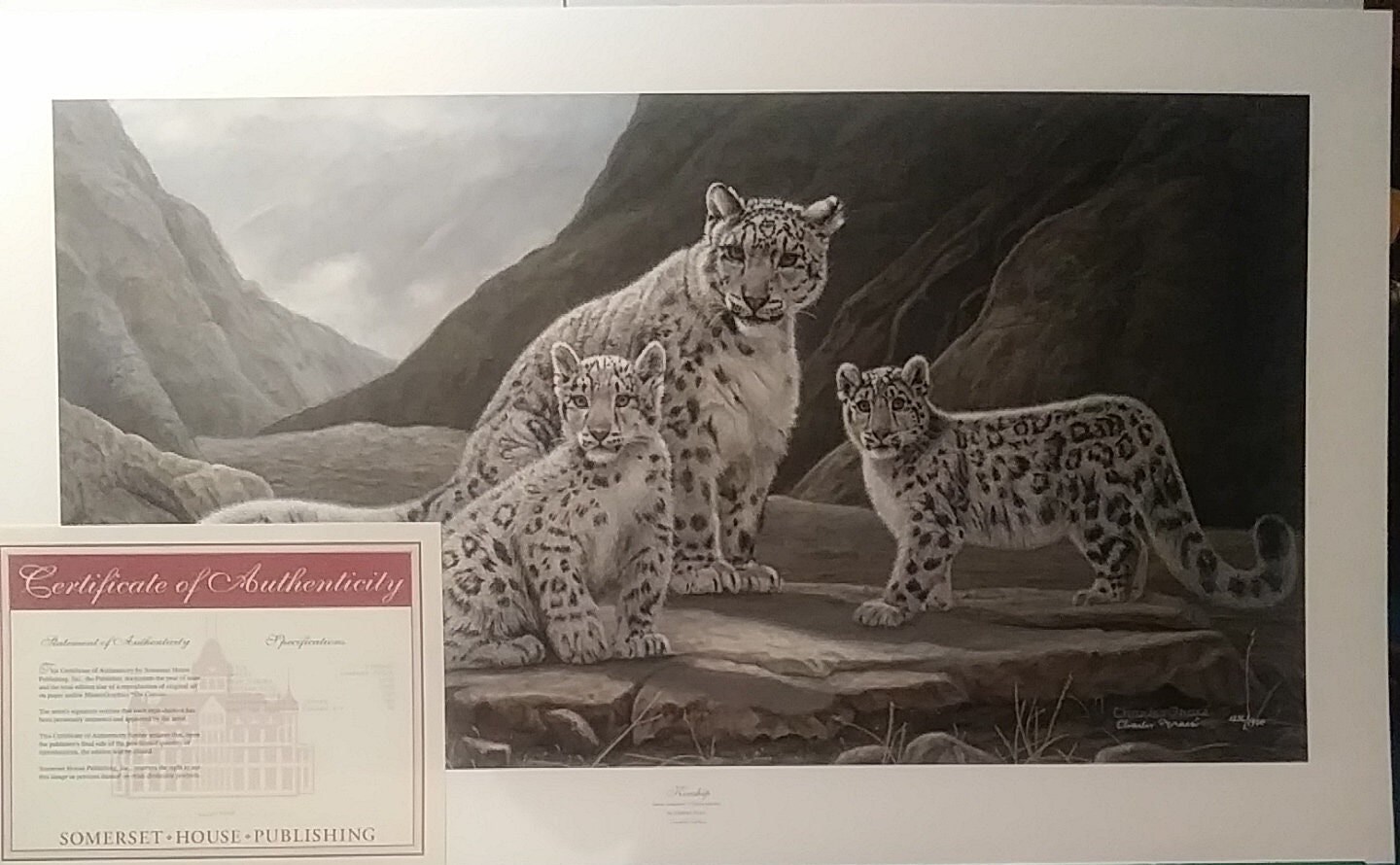 CHARLES FRACE Snow Leopards "kinship", Signed, Numbered (#1226, 1267) 34x21" 1995 Vintage New ...