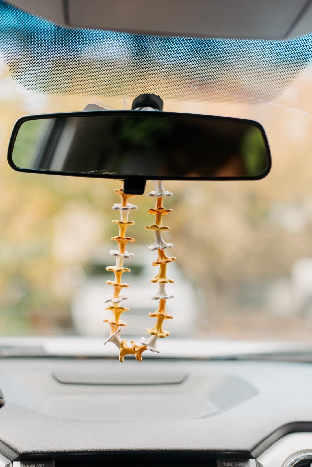 Puakenikeni Car Lei - Etsy