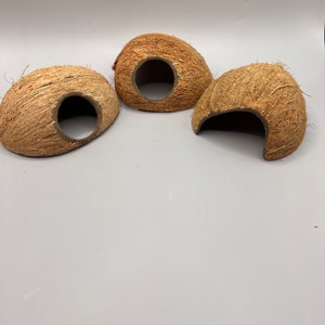 Coconut Hides Pack of 3 - Etsy