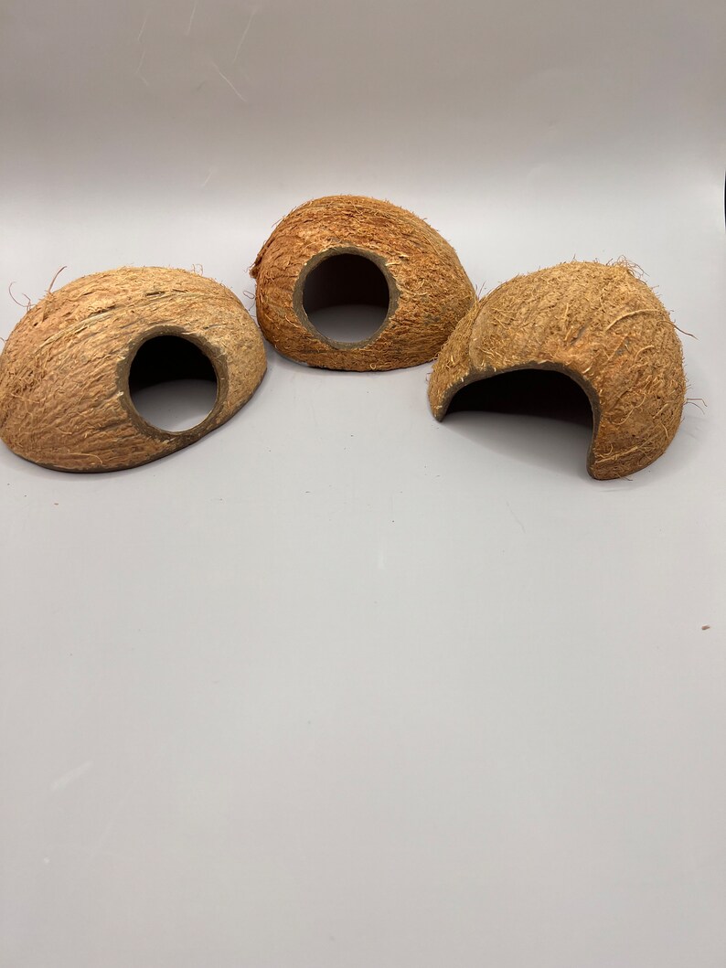 Coconut Hides Pack of 3 - Etsy