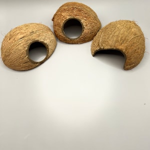 Coconut Hides Pack of 3 - Etsy