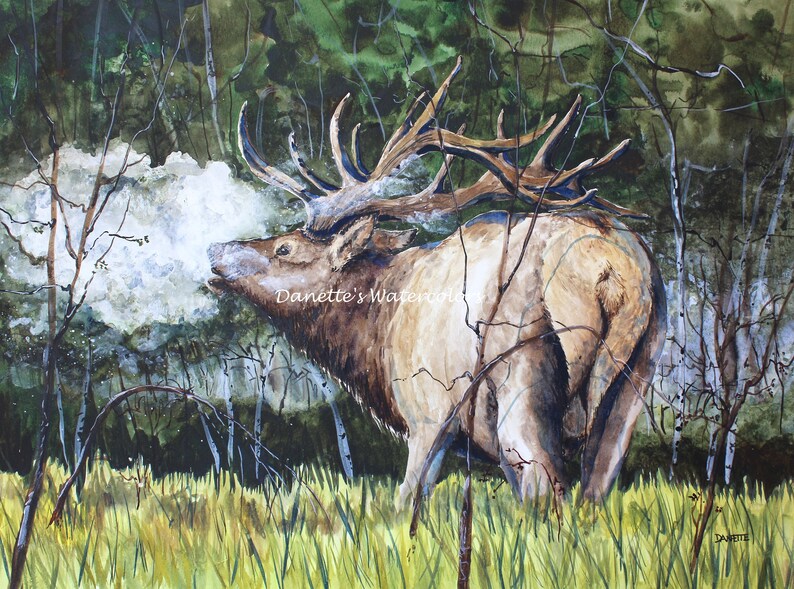 TOTAL BULL Watercolor Elk Art Print by Danette - Etsy