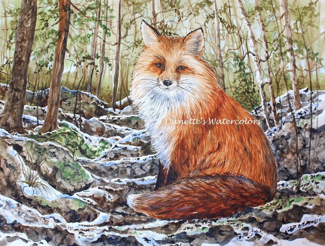 RED TAIL FOX Watercolor Fox Art Print by Danette - Etsy