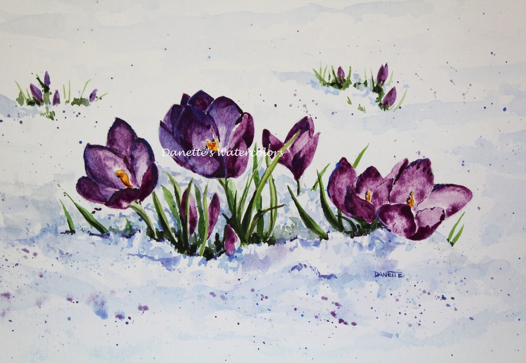 SPRING CROCUS Watercolor Flower Art Print by Danette - Etsy