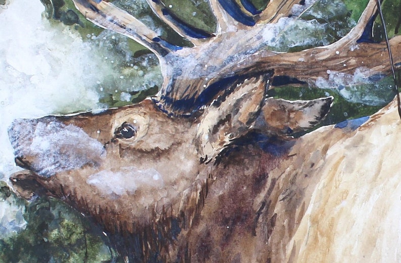TOTAL BULL Watercolor Elk Art Print by Danette - Etsy
