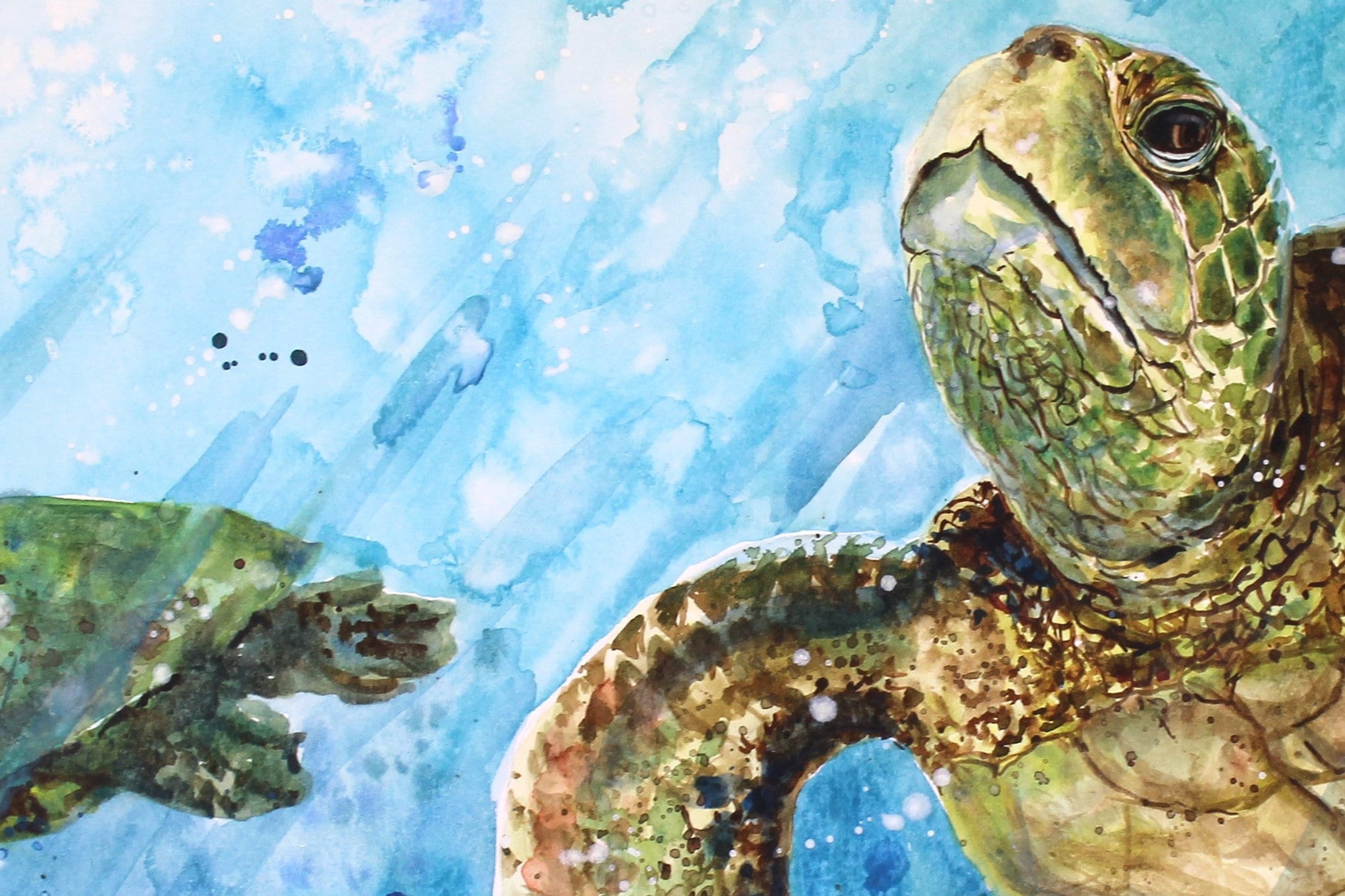 LOGGERHEAD SEA TURTLE Watercolor Turtle Art Print by Danette - Etsy