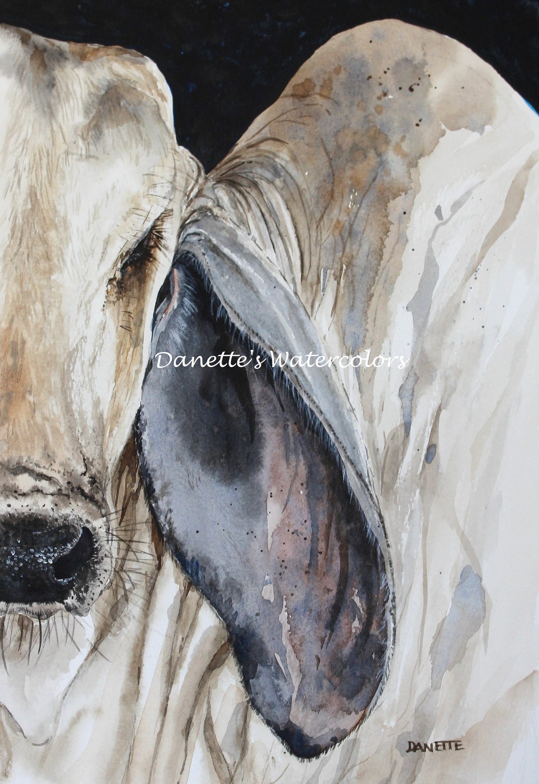 BRAHMAN Watercolor Bull Cattle Art Print by Danette - Etsy