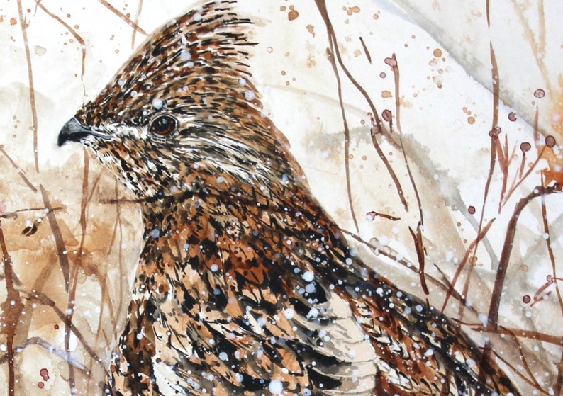 PA RUFFED GROUSE Watercolor Bird Art Print by Danette - Etsy