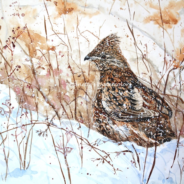 Ruffed Grouse Art - Etsy