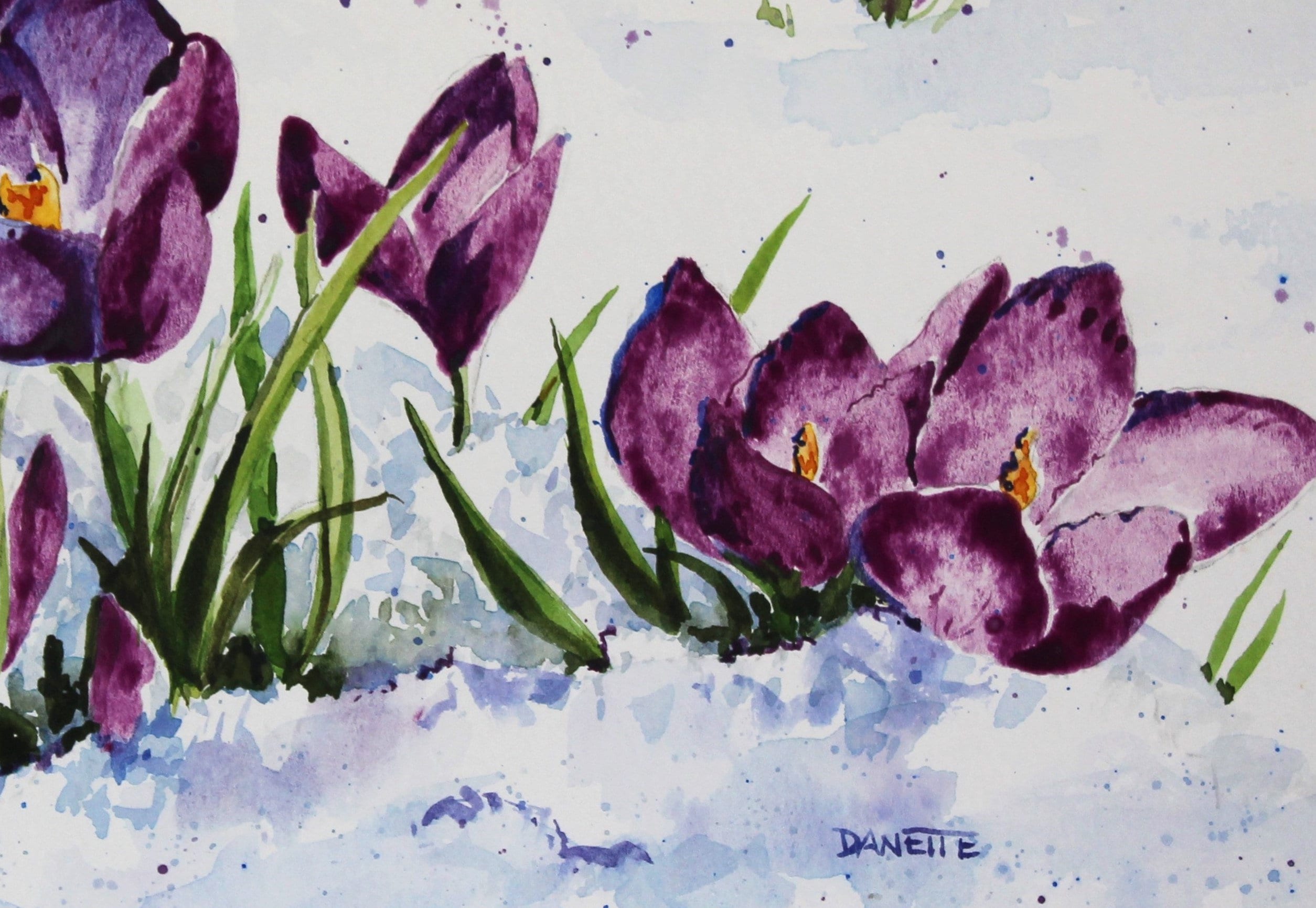 SPRING CROCUS Watercolor Flower Art Print by Danette - Etsy