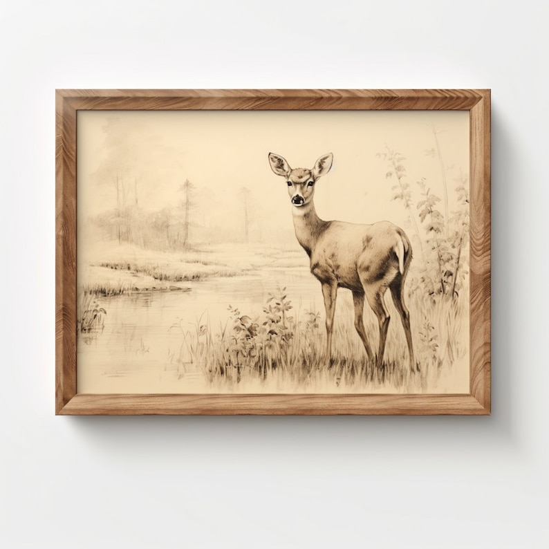 Vintage Deer Sketch Print, Hunting Digital Printable Wall Art Download ...