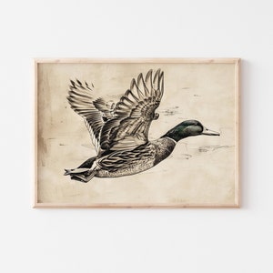 Vintage Duck Sketch Download, Boys Room Hunting Decor, Boy Nursery Wall ...