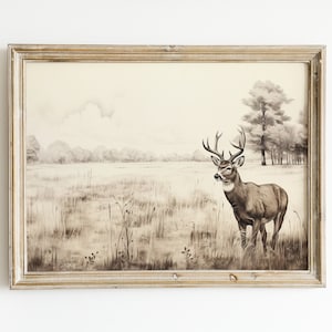 Vintage Deer Sketch Print, Hunting Digital Printable Wall Art Download ...