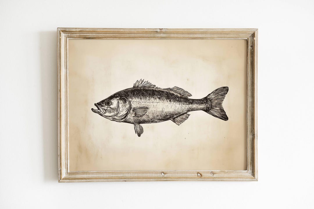 Vintage Bass Sketch Download, Fishing Wall Art, Fish Decor, Lakehouse ...