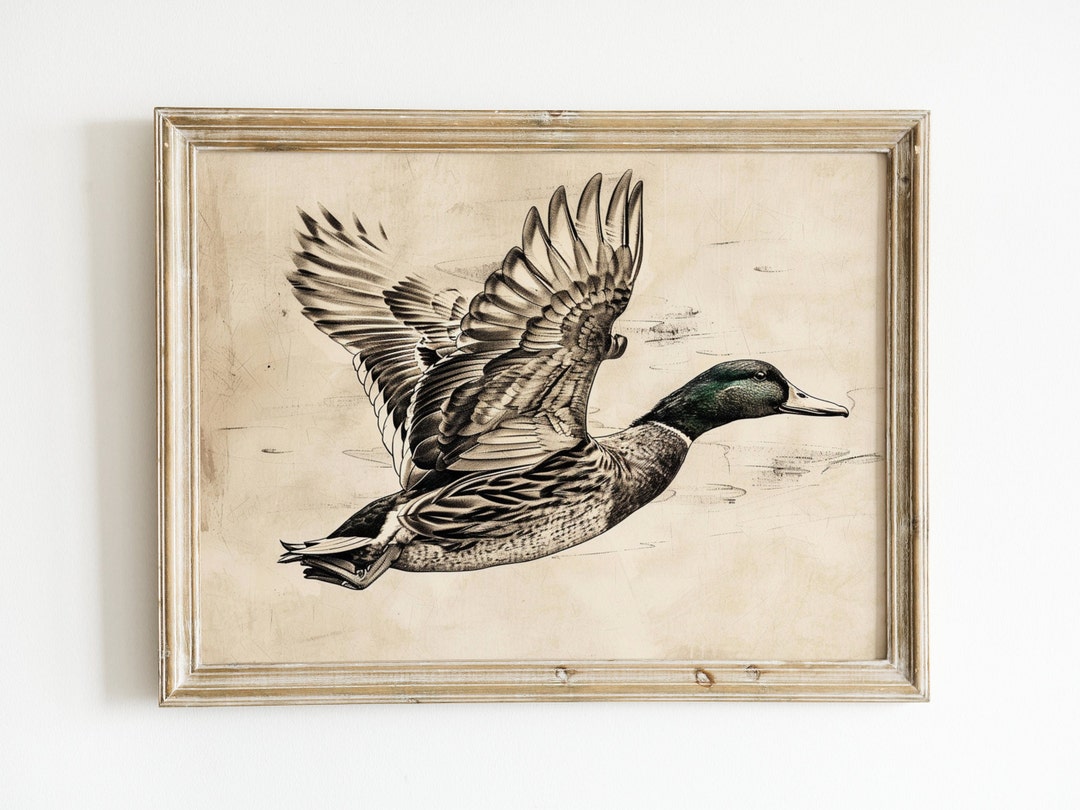 Vintage Duck Sketch Download, Boys Room Hunting Decor, Boy Nursery Wall ...