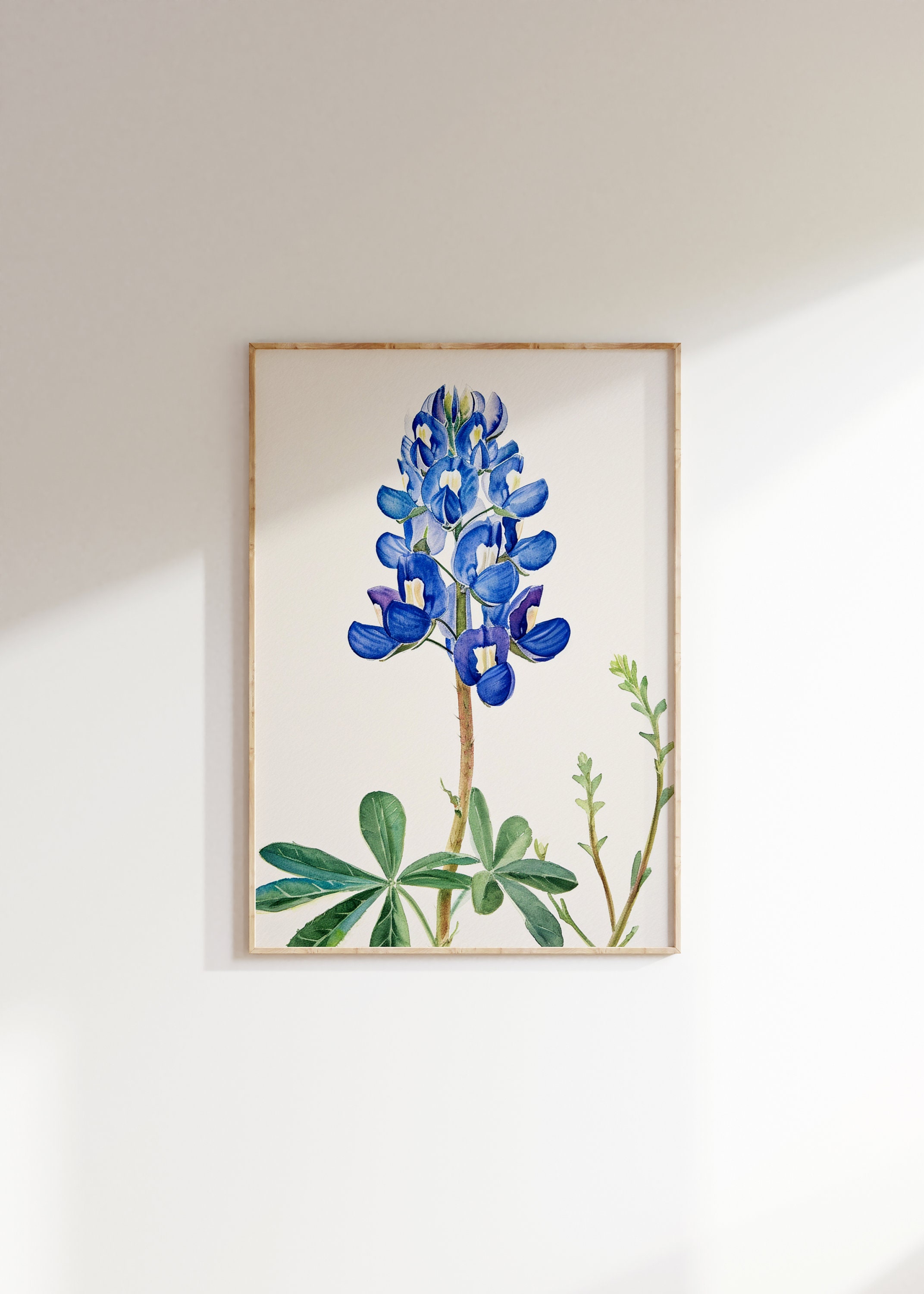 Bluebonnet Painting Download, Watercolor Blue Bonnet Flower Digital ...