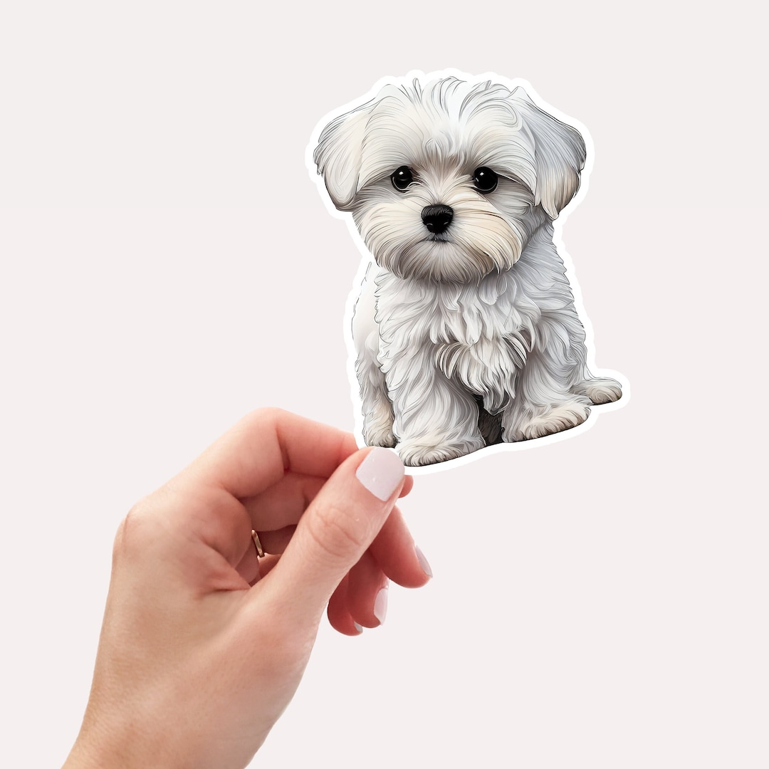 Maltese Puppy Sticker, Vinyl Sticker, Maltese Puppy, Dog Lover Sticker ...