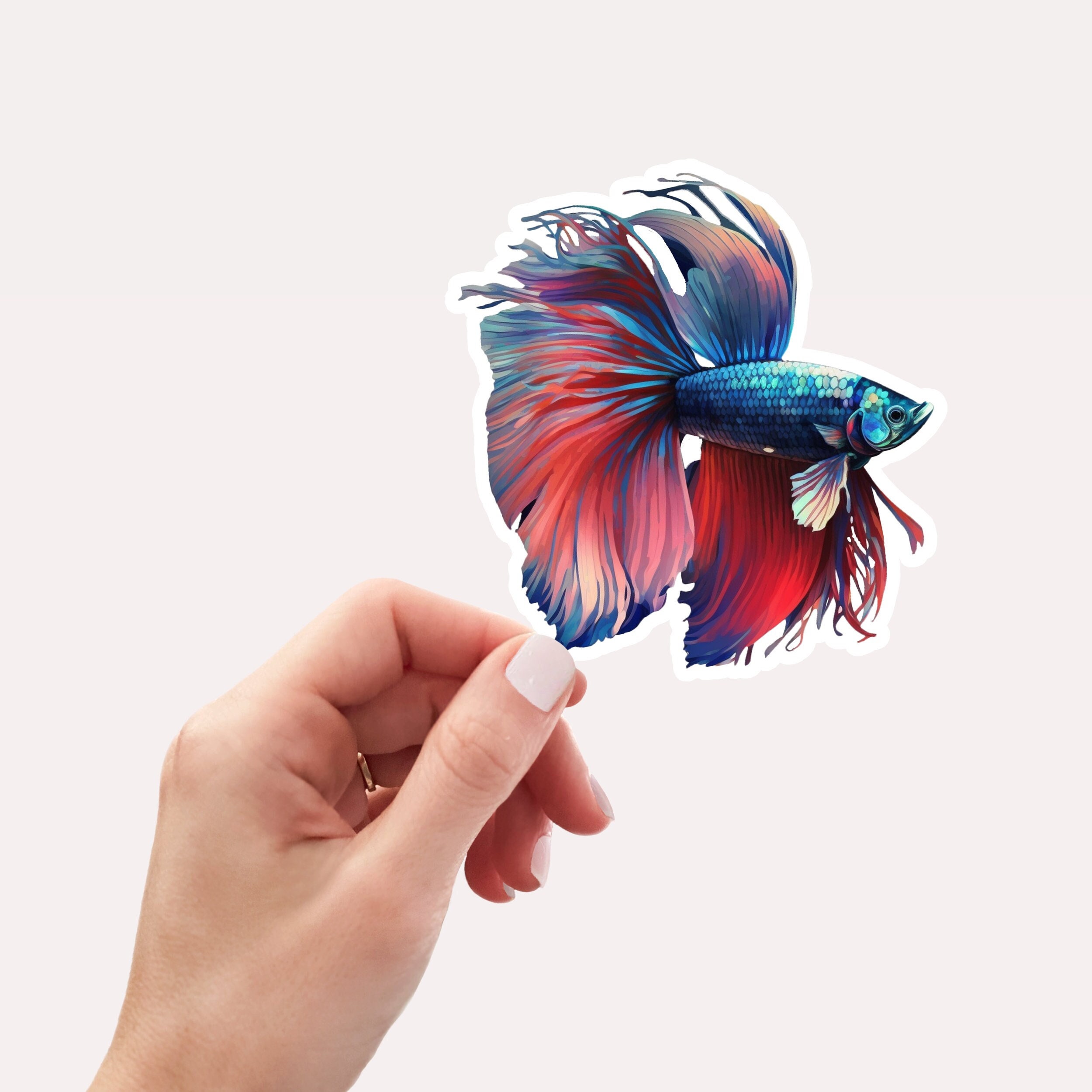 Pretty Betta Fish Sticker, Betta Fish Sticker, Pretty Fish Sticker for ...