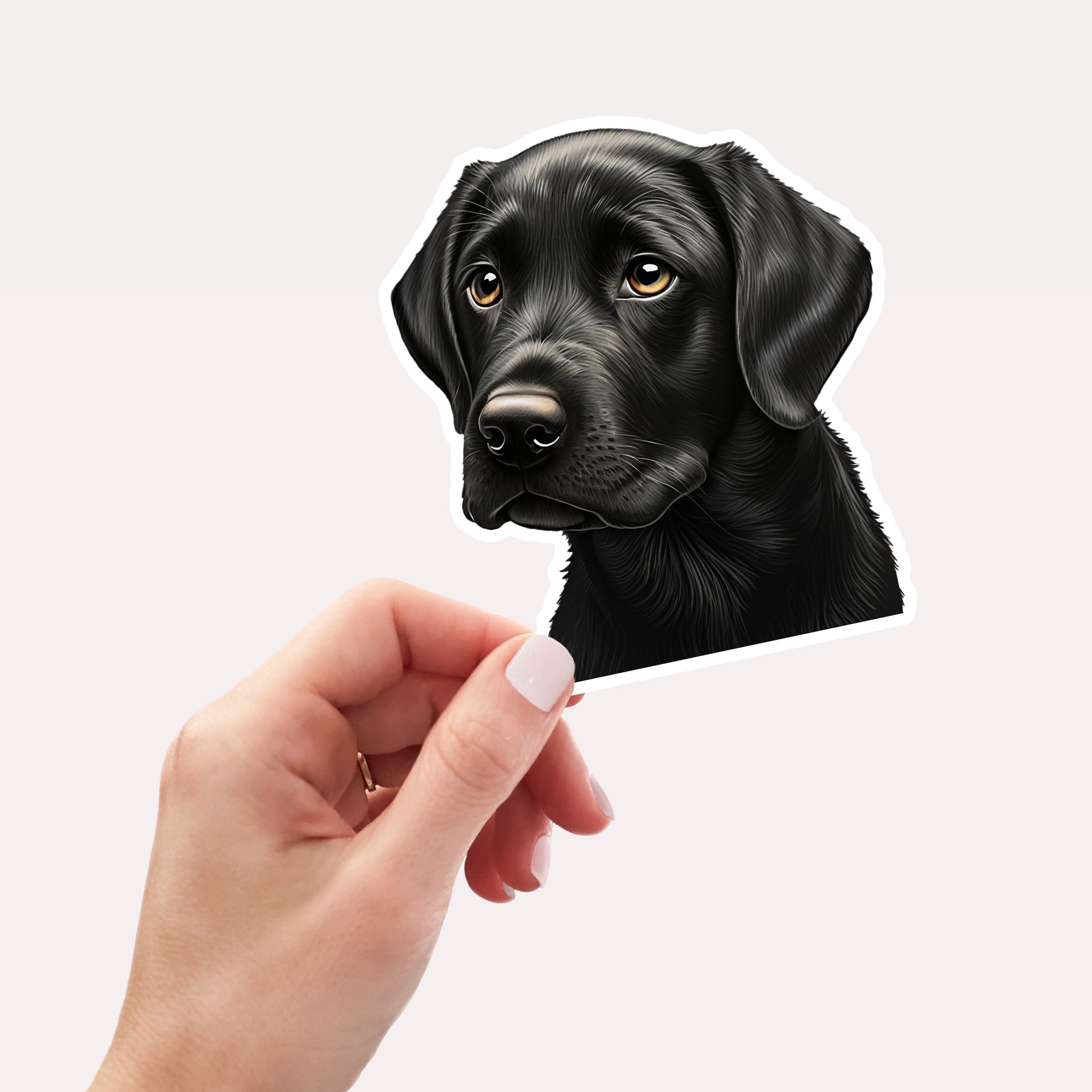 Cute Black Lab Sticker, Laborador Dog Sticker, Dog Sticker, Dog Lover ...