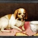 Silly Smiling Renaissance Dog, Antique Dog Painting, 1600s Little Dog ...