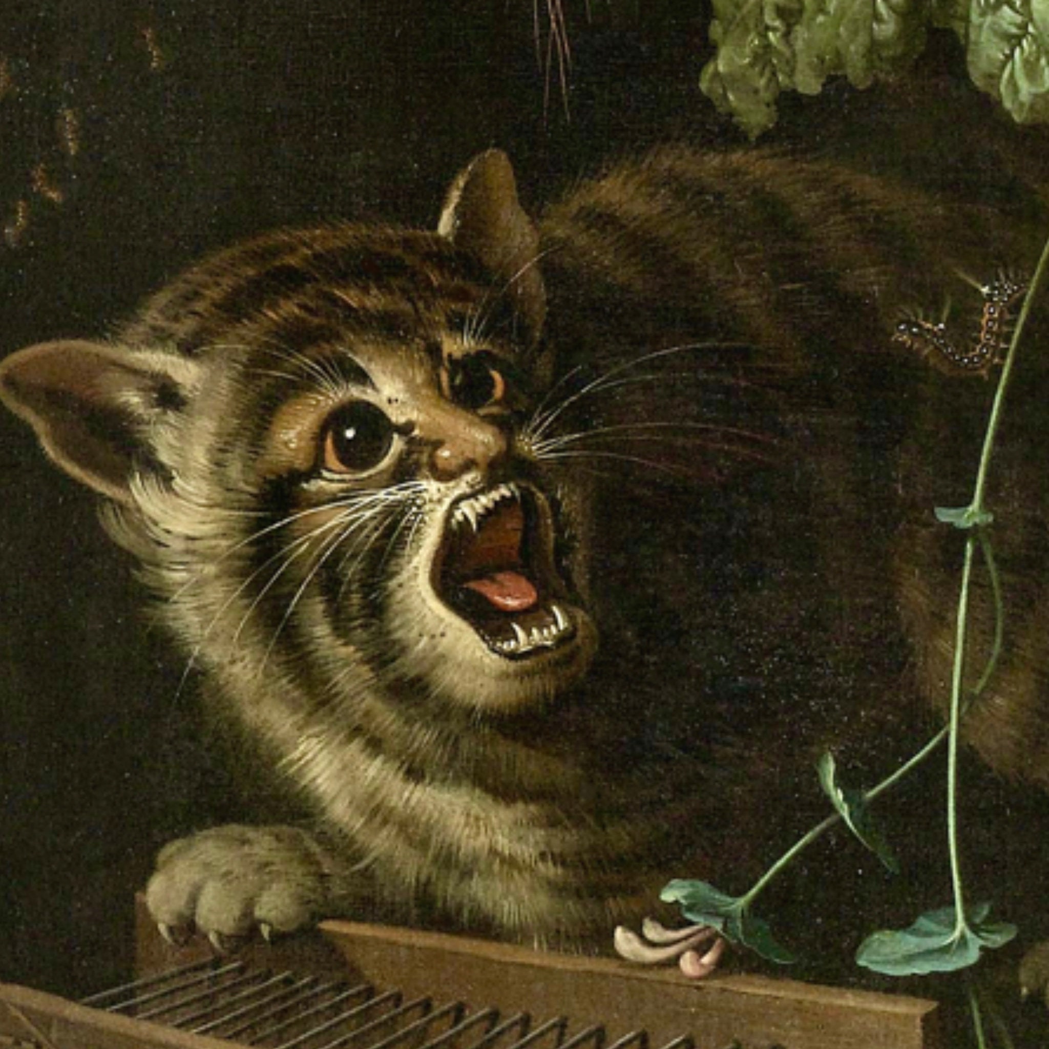 Weird Cat Renaissance Still Life, Cat Knocking Over a Vase of Flowers ...